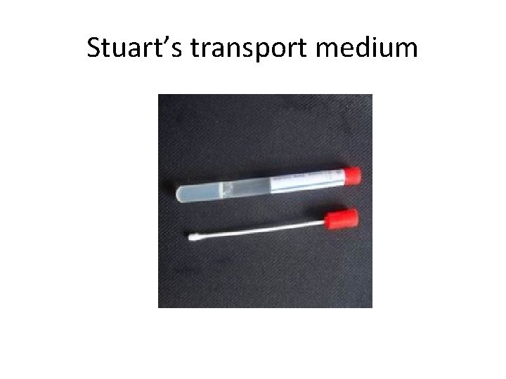 NSII Lab Tetanus Leprosy Botulism Dr Eman Albataineh
