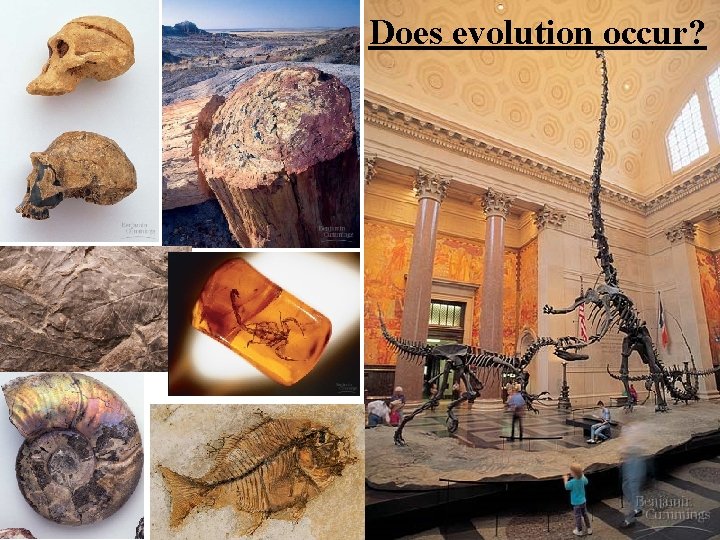 T 55 exam 3 bring cheat sheet Sat