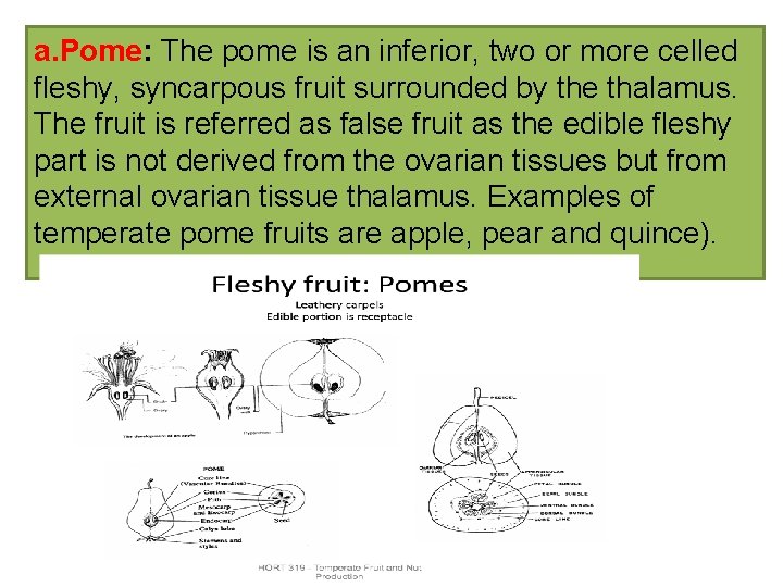 What are Temperate Fruit Plants Temperate fruit plants