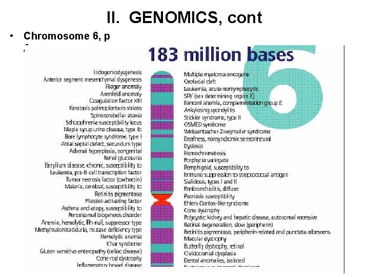 UNIT VII GENOMICS CANCER Big Campbell Ch 17