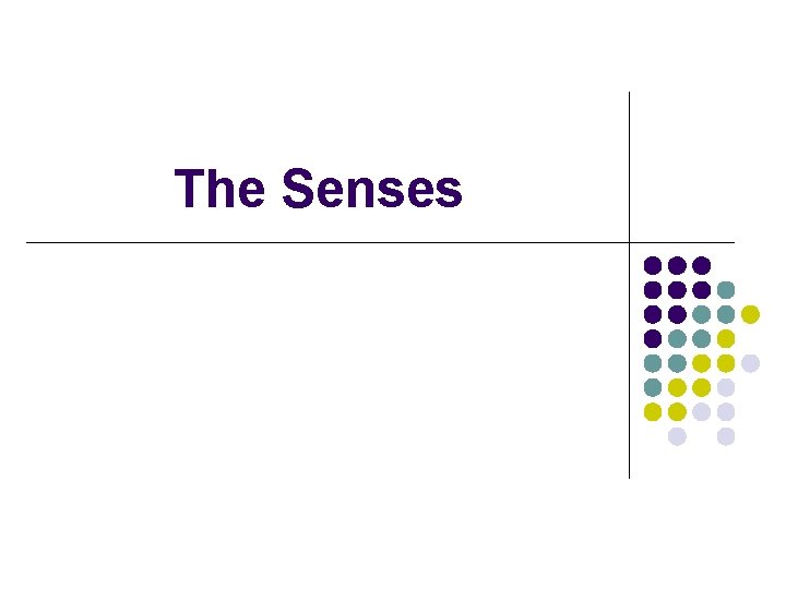 The Senses The Senses l l l Sensory