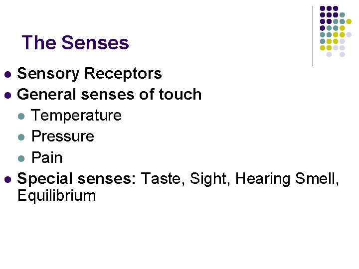 The Senses The Senses l l l Sensory