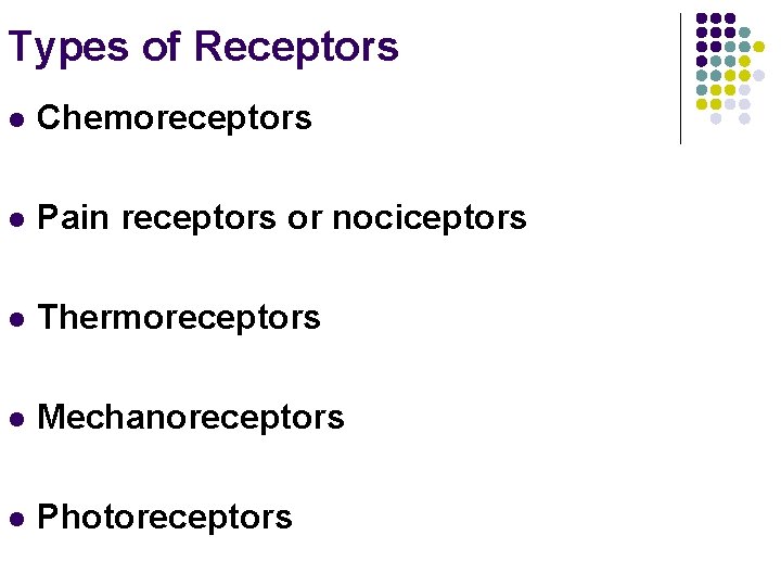 The Senses The Senses l l l Sensory