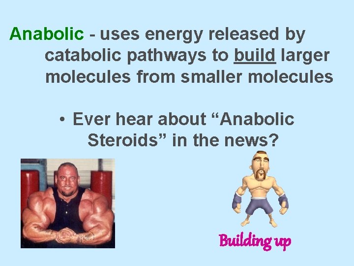 Notes on Photosynthesis Standard SB 3 Students will