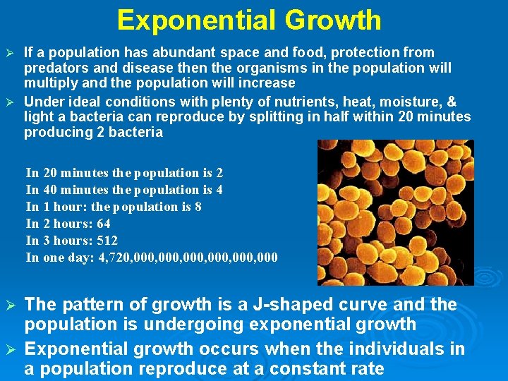 Chapter 5 and 6 Populations Prentice Hall pgs