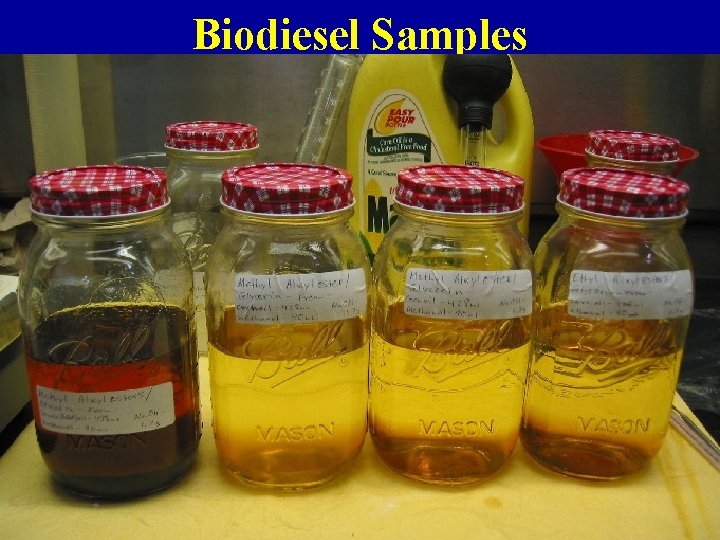 Incorporating Lessons on Biodiesel into the Science Classroom
