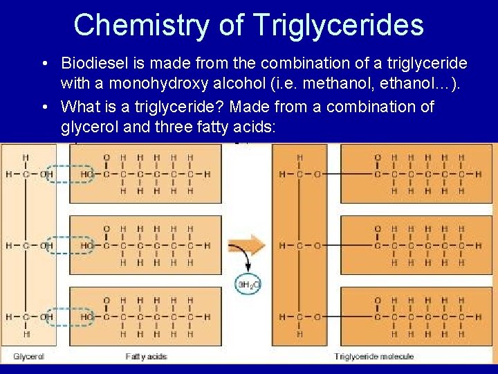Incorporating Lessons on Biodiesel into the Science Classroom