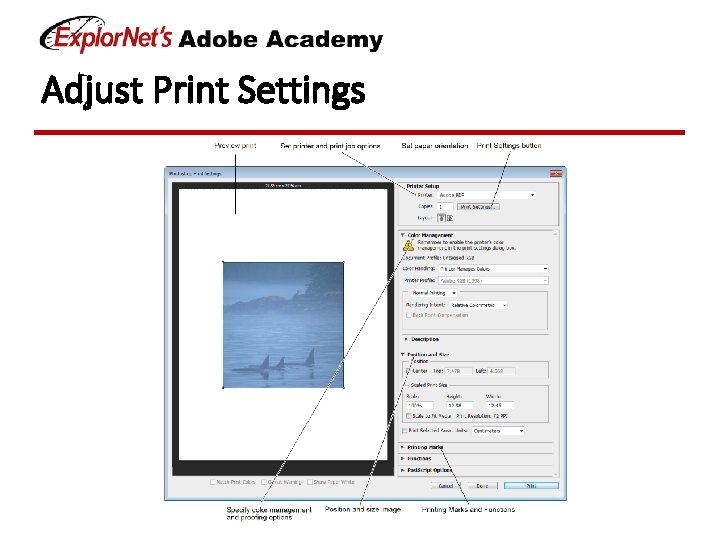 Adobe Visual Design 5 00 Apply procedures to
