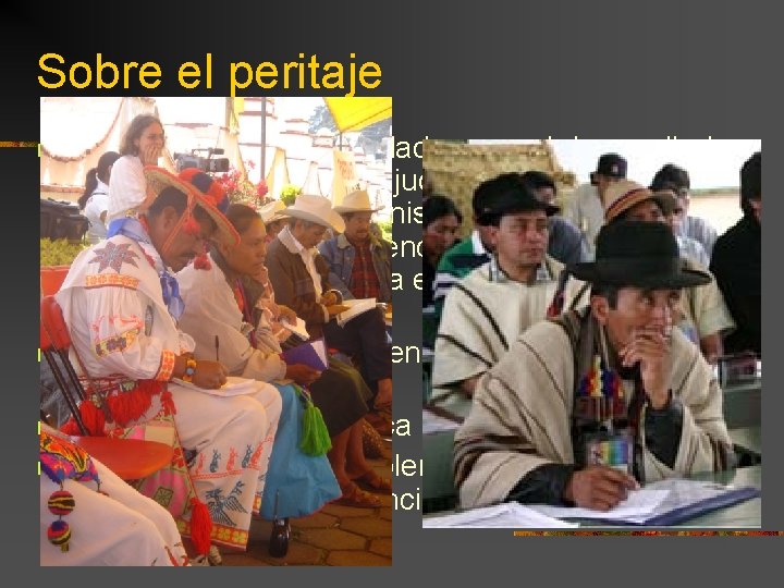 El Peritaje antropolgico Los retos del entendimiento intercultural