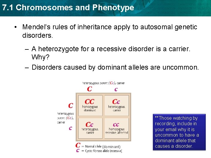 Biology Unit Four C Chromosomes and Phenotype Mrs