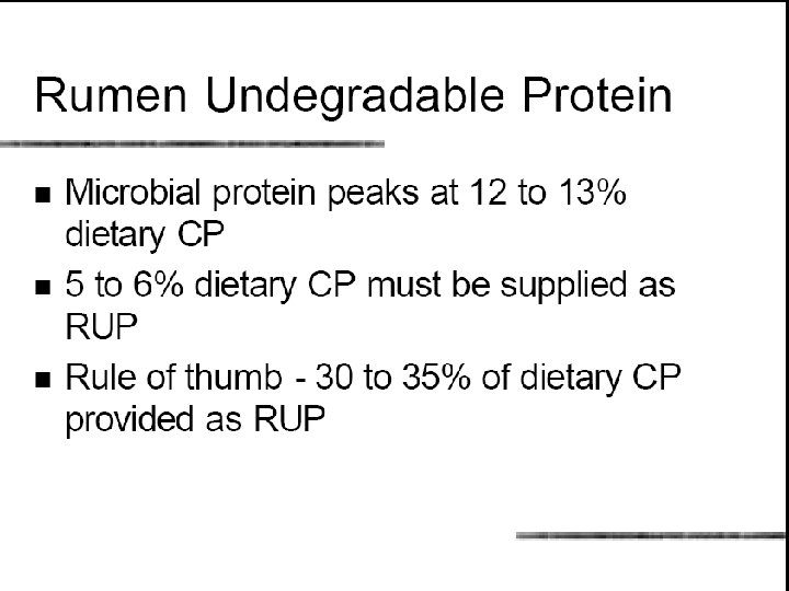 Dynamics of Protein Metabolism in the Ruminant 2