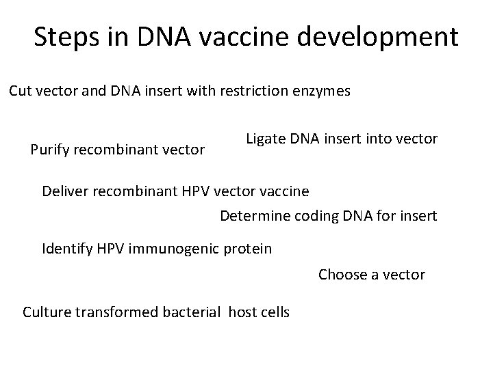 Nekeisha Nogal Gabriel Pineda Keith Neeves Judy Schoonmaker
