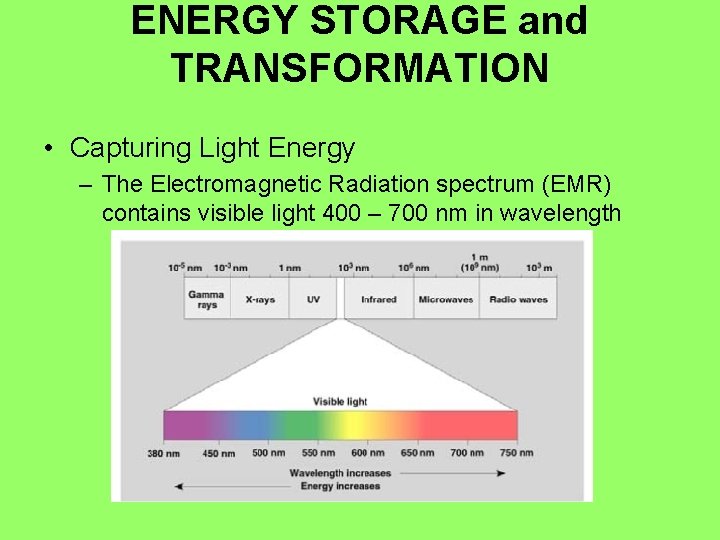 Chapter 5 Topic 5 1 Matter and Energy