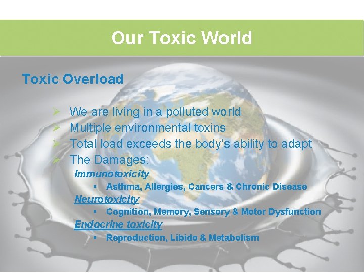 Our Toxic World Our Toxic World Toxic Overload