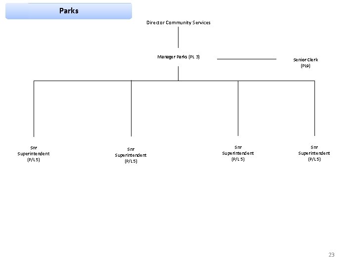 REVISED ORGANISATIONAL STRUCTURE Presented by Mr D Ngxanga