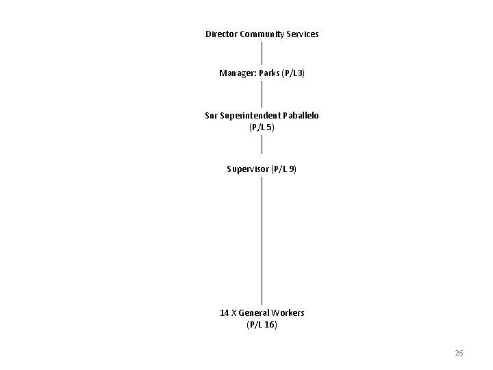 REVISED ORGANISATIONAL STRUCTURE Presented by Mr D Ngxanga