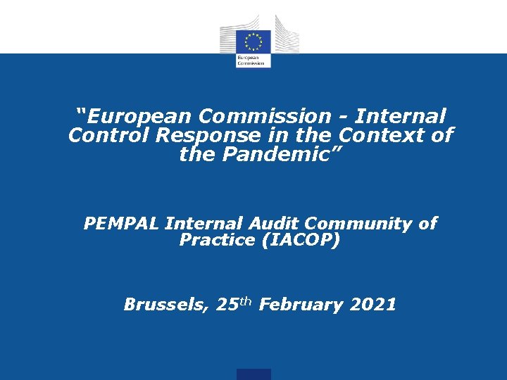 European Commission Internal Control Response in the Context