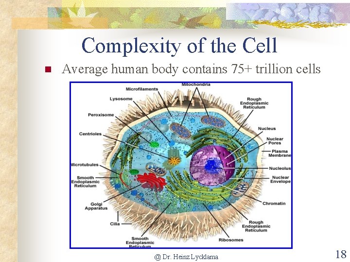 Life and Information Dr Heinz Lycklama heinzosta com