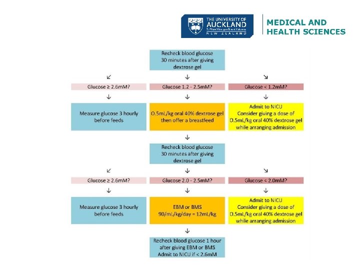 Saturday 18 December 2021 Audit of Hypoglycaemia Screening