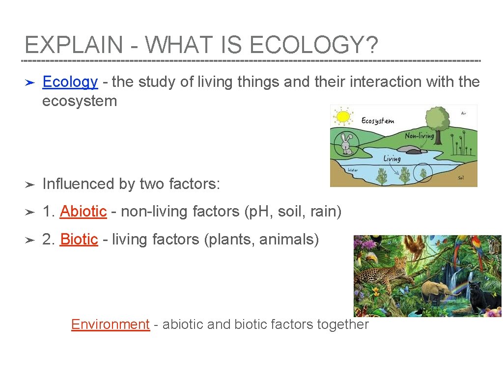 WHAT IS ECOLOGY Big Q What are biotic