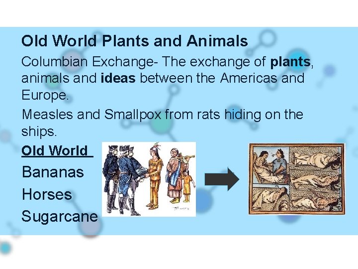 The Columbian Exchange Old World Plants and Animals