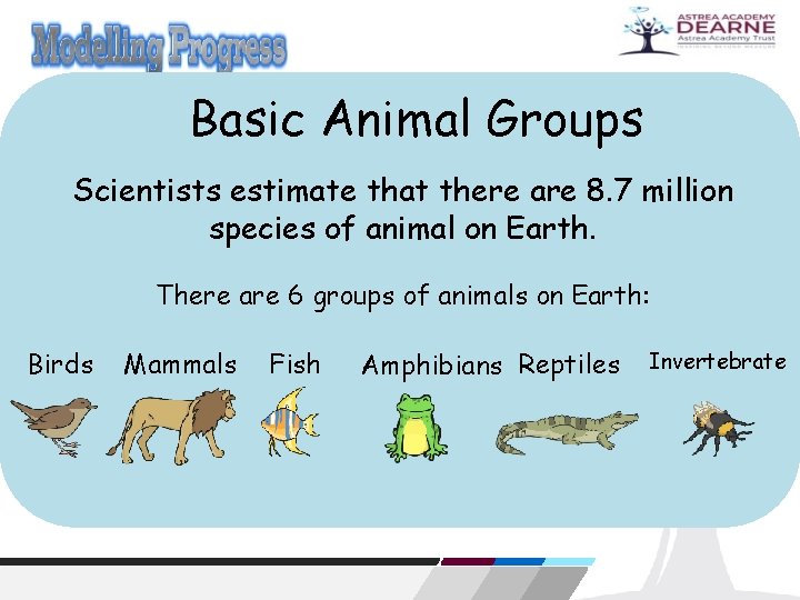 Monday 14 th June 2021 Animal classes Animal