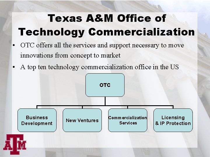 Born Big A Global Approach to Startups Guy