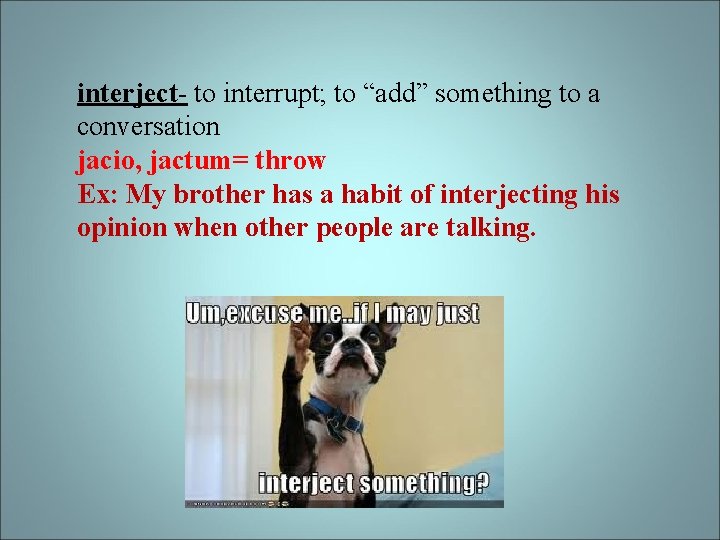 between among amid Definitions from www dictionary com