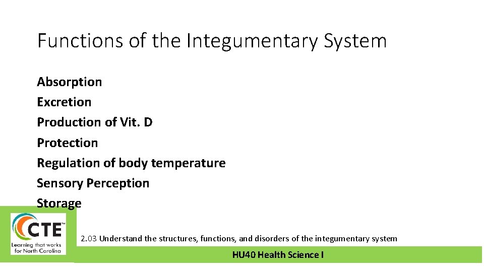 Integumentary System 2 00 Understand the bodys support
