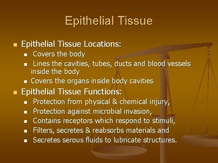 Anatomy and Physiology I Tissue Types Key Terms