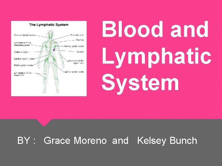Blood and Lymphatic System BY Grace Moreno and