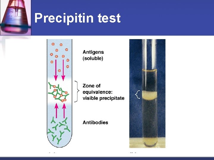 Identification of Blood and Biologicals Is it Blood
