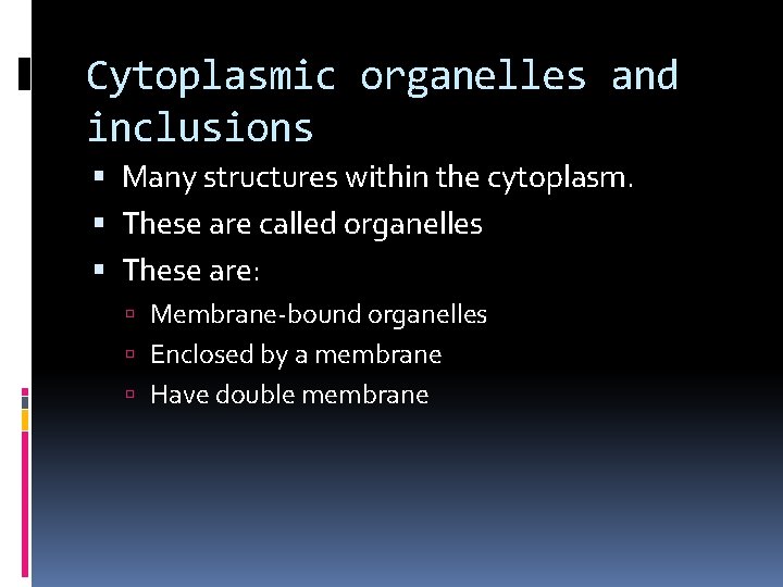 CELLS THE BASIC UNIT OF LIFE Every living