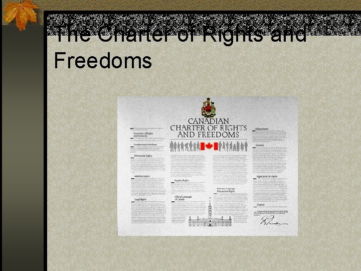 The Constitution The Charter of Rights and Freedoms