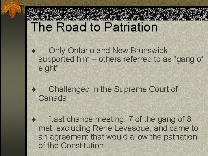 The Constitution The Charter of Rights and Freedoms