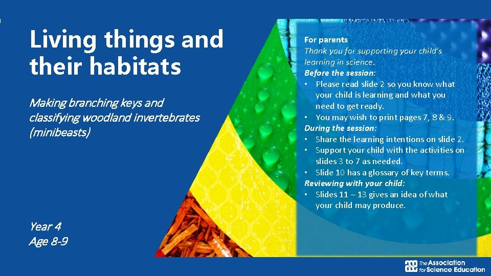 Living things and their habitats Making branching keys