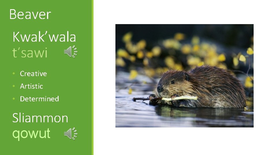 Six Cedar Trees Animals Kwakwala and Sliammon Language