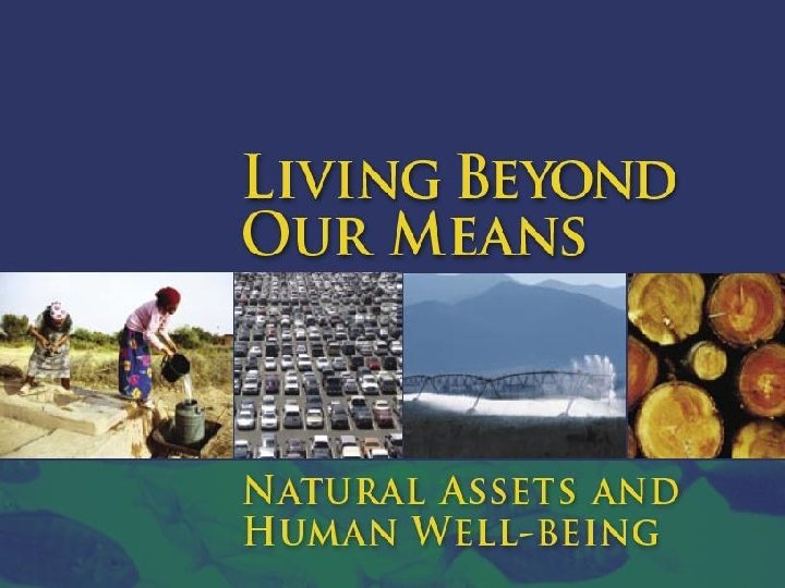 The Millennium Ecosystem Assessment MA In 2000 it
