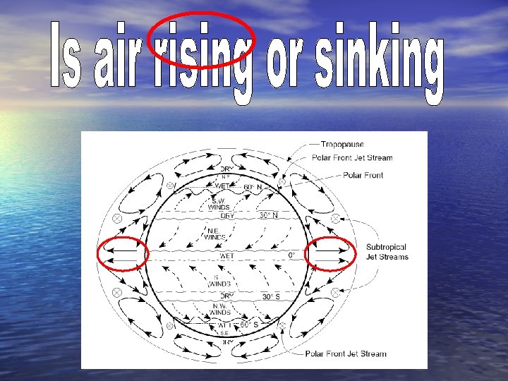 ORIGIN from Greek anemos wind ORIGIN from Greek
