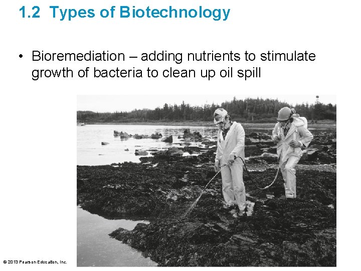 1 1 What Is Biotechnology and What Does