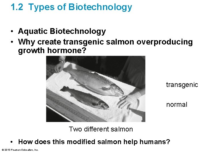 1 1 What Is Biotechnology and What Does