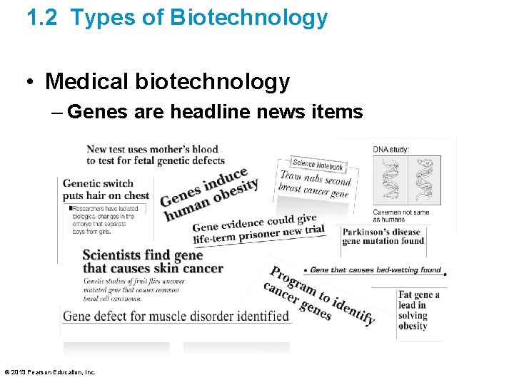 1 1 What Is Biotechnology and What Does