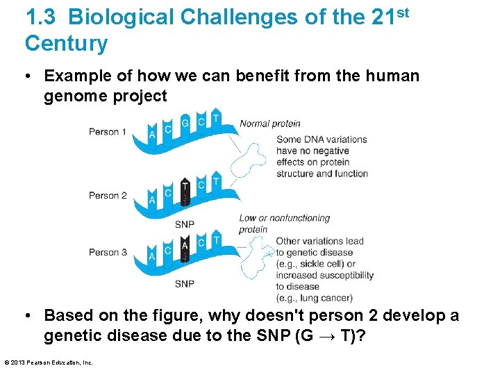 1 1 What Is Biotechnology and What Does