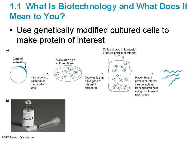 1 1 What Is Biotechnology and What Does