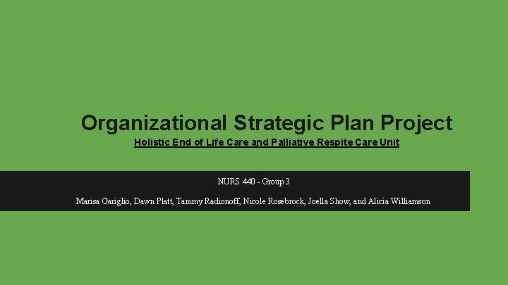 Organizational Strategic Plan Project Holistic End of Life
