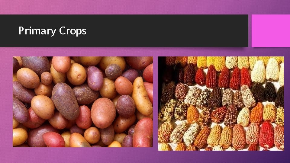 The Incas Geography and Cities The Homeland of