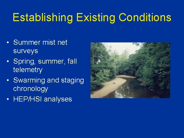 Strategies for Complex Section 7 Endangered Species Act