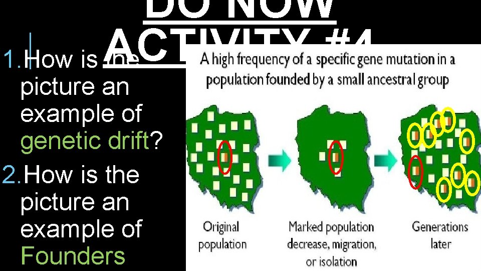 DO NOW ACTIVITY 1 What is the difference