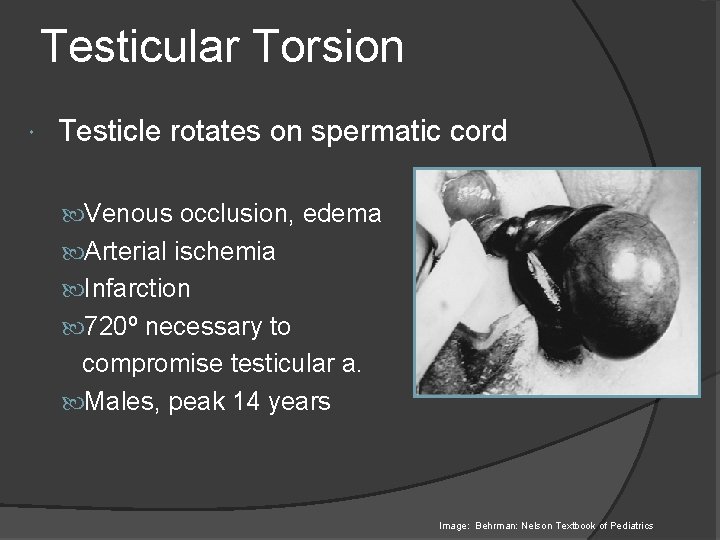 Turandot Saul M D February 20 2008 ULTRASOUND