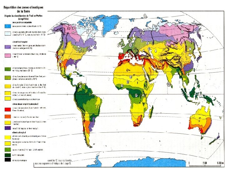 Les biomes Un biome est un ensemble dcosystmes
